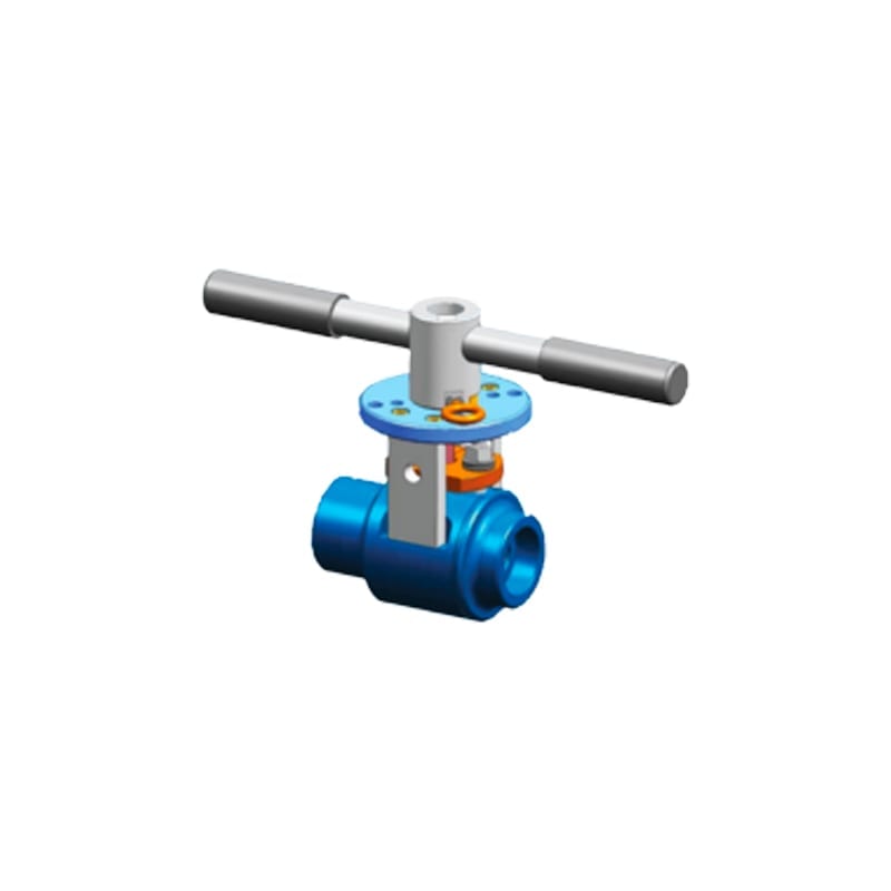 SSV Series SST Severe Service Ball Valve: Multivalve